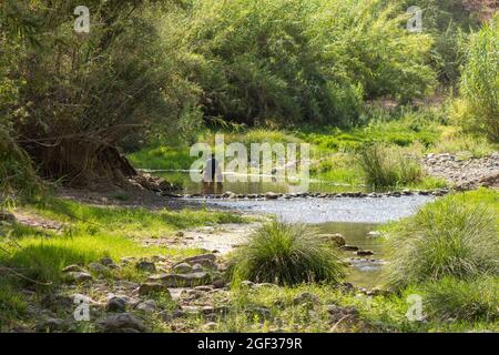 Natural water stream with clear water, Sierra de las Nieves. Spain ...
