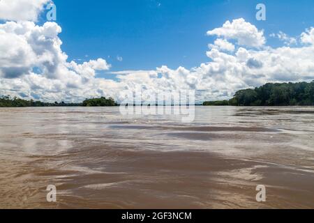Jungle along river Napo, Ecuador Stock Photo - Alamy