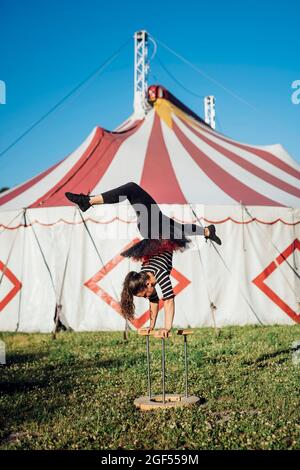 Female acrobat doing handstand on circus stage Stock Photo - Alamy