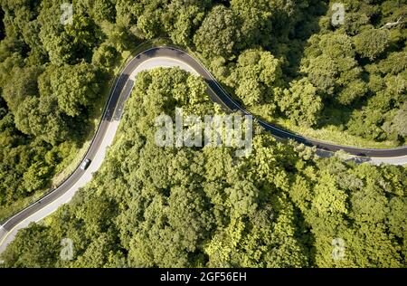 USA, Virginia, Aerial view of Back of Dragon road surrounded by green ...