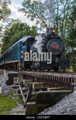 Steam locomotive crossing trestle bridge with birds flying over Stock ...