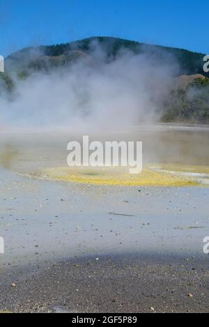 Boiling mud and sulfur springs due to volcanic activity in Wai-O-Tapu ...