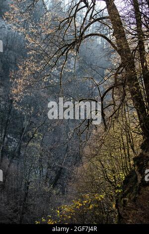 Autumn in Guam gorge, Krasnodar krai, Russia Stock Photo - Alamy