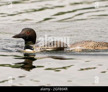 Profile side photo of young black girl amazed surprised point finger ...