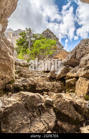 Rock labyrinth below Latemar mountains, Dolomites, South Tyrol Stock ...