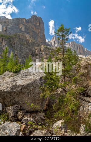 Rock labyrinth below Latemar mountains, Dolomites, South Tyrol Stock ...