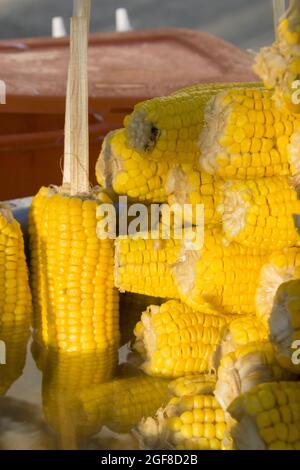 Baked corn called elotes in Guatemala. Zea mays Stock Photo - Alamy