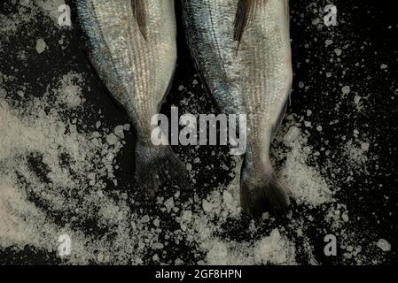 Two fins of raw sea bream fish in a black plate on black background ...