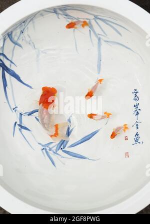 Shaoxing, China's Zhejiang Province. 24th Sep, 2023. Asano Kento (R) of ...