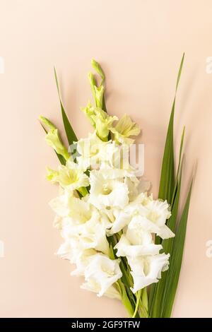 Creative layout made with beautiful flowers. Purple flowers come out of ...