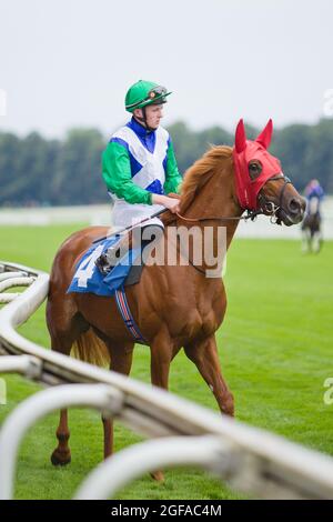 Jockey Adam Farragher riding to the start of a race at York Races Stock ...