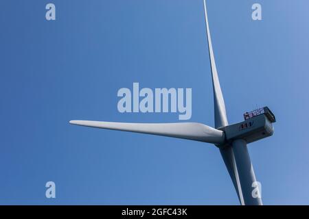 Viana Do Castelo, Portugal. 24th Aug, 2021. General view of the three ...