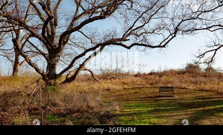 Commons Ford Ranch Metropolitan Park, Austin, Travis County, Texas, USA ...