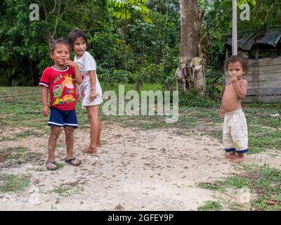 Amazonia- Dec 2019: Portrait of a children, a local inhabitants of the ...
