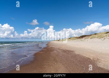 A beautiful idyllic endless white sand beach with a calm ocean and ...