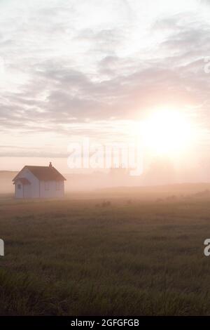 Grasses and Fog at Sunrise, Alberta, Canada Stock Photo - Alamy