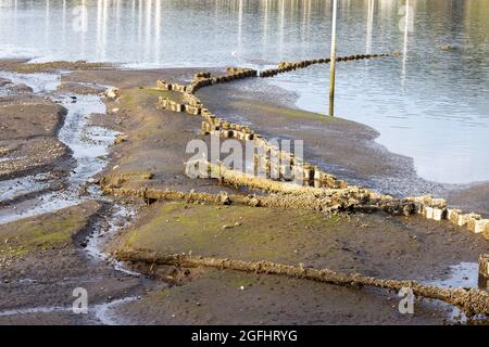 old sunken structures in a sea bed at low tide Stock Photo - Alamy