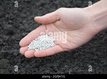 A farmer is adding mineral fertilizers into the soil to replenish ...