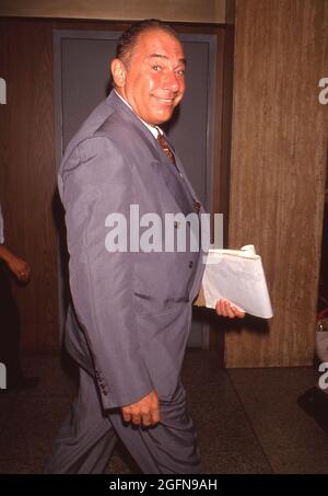 Ivan Nagy attends a Court Appearance for allegedly recruiting young ...