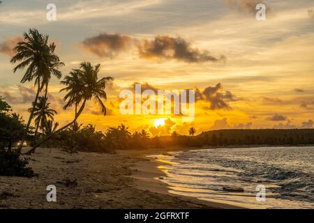 Sun rising over the beach - Puerto Rico Stock Photo - Alamy