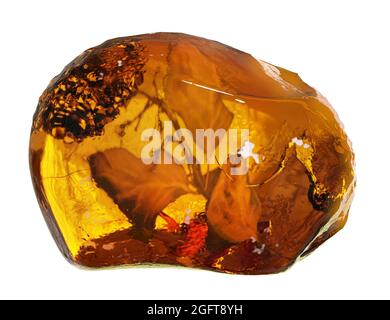 amber with leaves, natural fossilized tree resin isolated on white ...