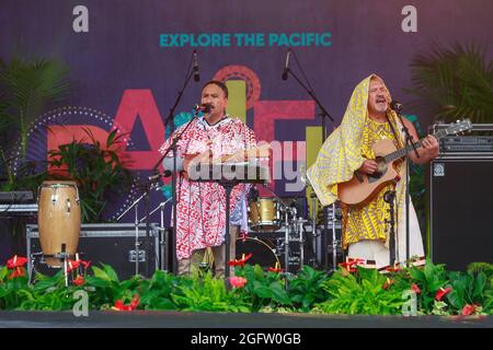 Hawaiian musical instruments Stock Photo - Alamy