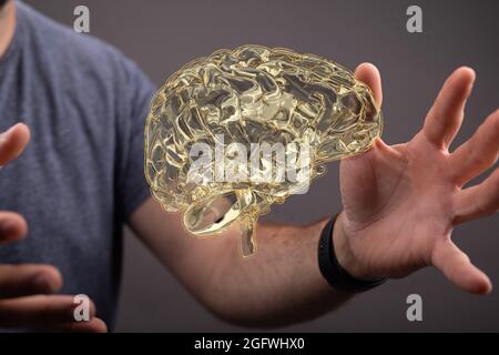 Hands holding an illustration of a human brain - the concept of ...