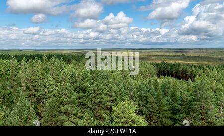 summer landscape from Rannametsa vaatetorn, panoramic view of Tolkuse ...