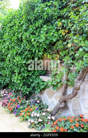 Walled garden within a French village Stock Photo - Alamy