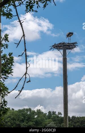 Knokke-Heist, Flanders, Belgium - August 6, 2021: Zwin Nature Reserve ...