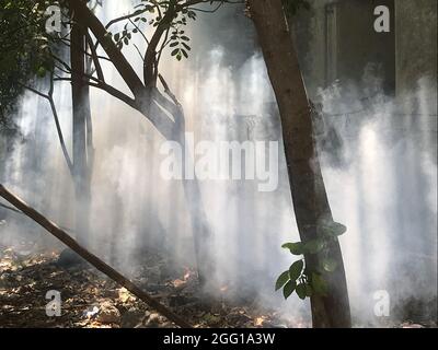 Mumbai , India - 31 March 2021, White smoke against the morning ...