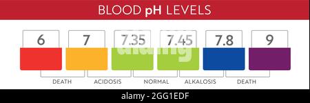 Human blood ph range. Medical illustration chart and scale. Acidic ...