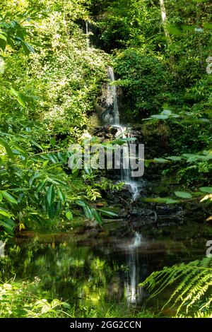 Tillingbourne Waterfall in the Surrey Hills Area of Outstanding Natural ...