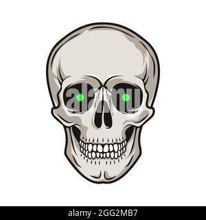 green Human skeleton on white background vector illustration Stock ...
