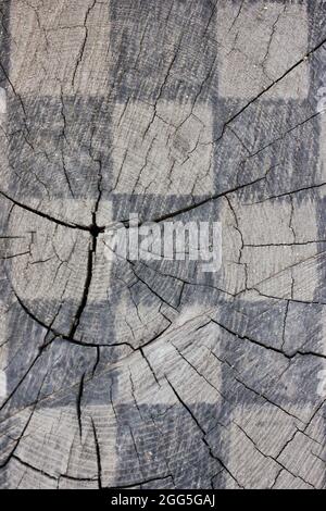 Faint checkerboard panted on a tree stump Stock Photo - Alamy