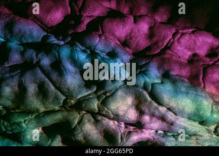 Close-up beautiful walnut shell extreme in multicolor light. Background ...