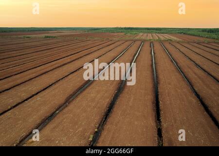 Peat extraction site. Harvester at collecting peat on peatlands. Mining ...