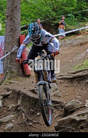 (62) - Hannes Lehmann (Germany) during UCI MTB World Championship - Downhill - Elite Men race ...