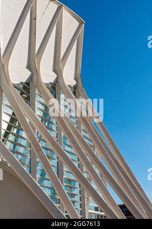 Prince Philip Science Museum. Valencia, Spain Stock Photo - Alamy