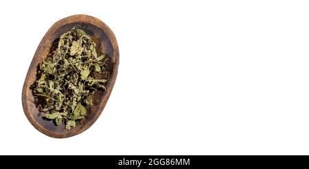Galinsoga parviflora - Dry dehydrated leaves of guasca Stock Photo - Alamy