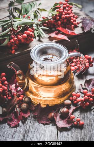 Glass teapot with hot rowan tea and berries on light background Stock ...