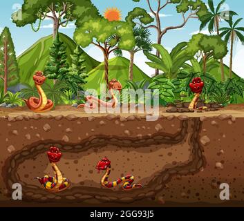 Underground animal burrow with snake family illustration Stock Vector ...