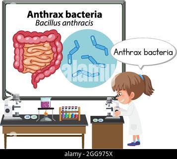 Doctor explaining the intestine. Vector cartoon character, health ...