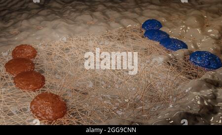 3d illustration of Osteoblaste and Osteoclaste, medically accurate ...