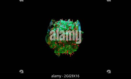 3d illustration of Mastocyte, Mast cell, 3d render Stock Photo - Alamy