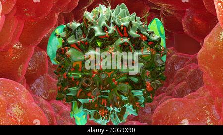 3d illustration of Mastocyte, Mast cell, 3d render Stock Photo - Alamy