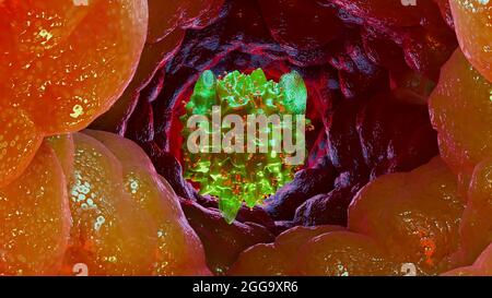 3d illustration of Mastocyte, Mast cell, 3d render Stock Photo - Alamy