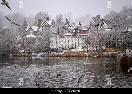 The Aviary - Worsley Woods Stock Photo - Alamy