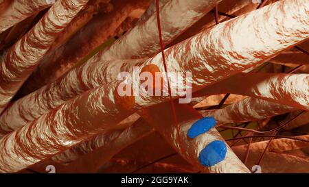 3d illustration of Osteoblaste and Osteoclaste, medically accurate ...