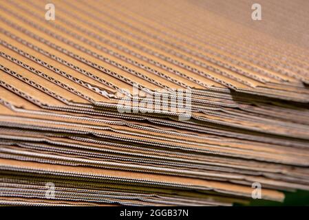 Conveyor belt automation at a corrugated cardboard manufacturing plant ...